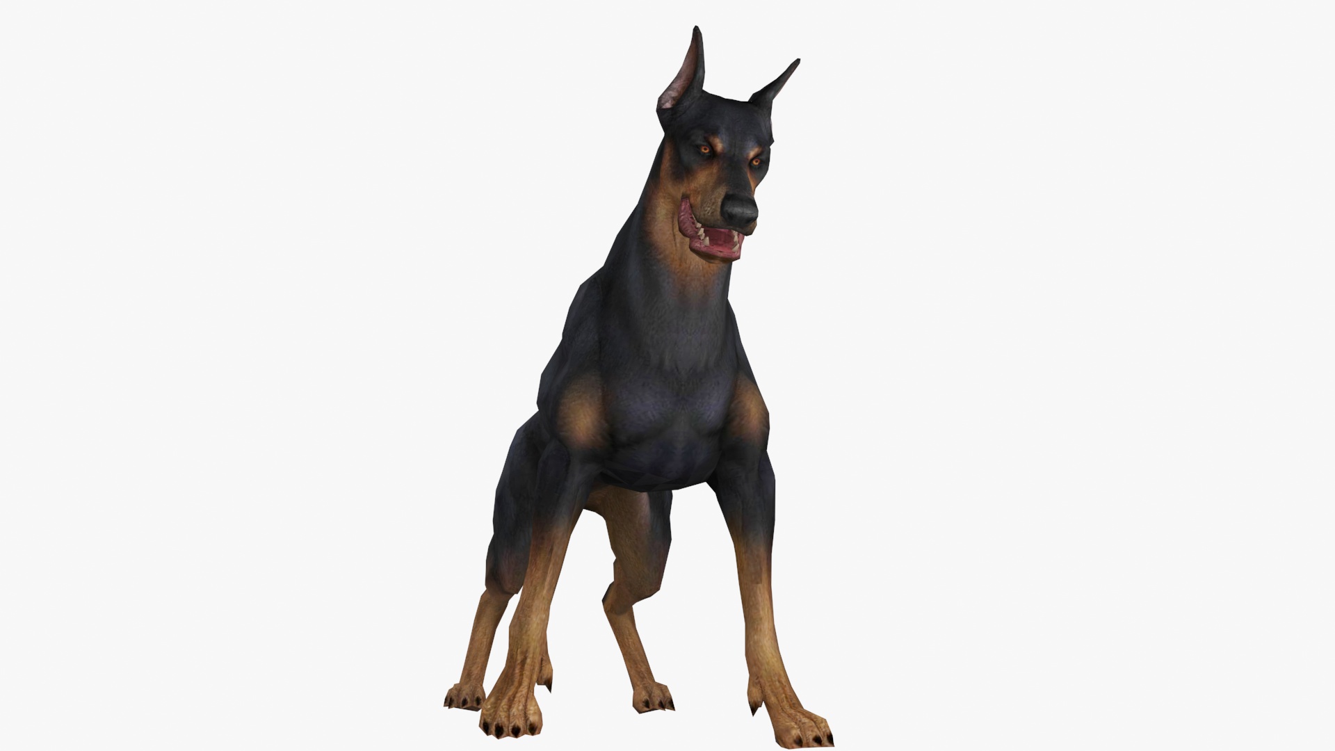 Doberman Animated 3d Model