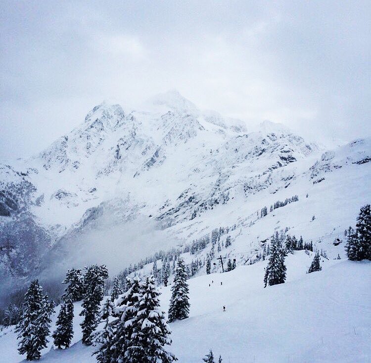 Mt Baker Ski Area The Undisputed King Of Snow