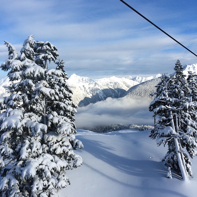 Mt Baker Ski Area The Undisputed King Of Snow