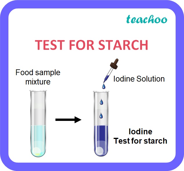 Test For Starch Carbohydrates Steps With Images Teachoo