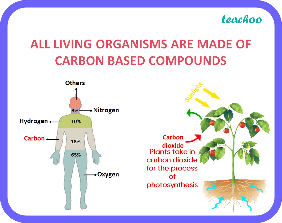 Class 10 Chemistry What Is Carbon And Its Compounds Teachoo