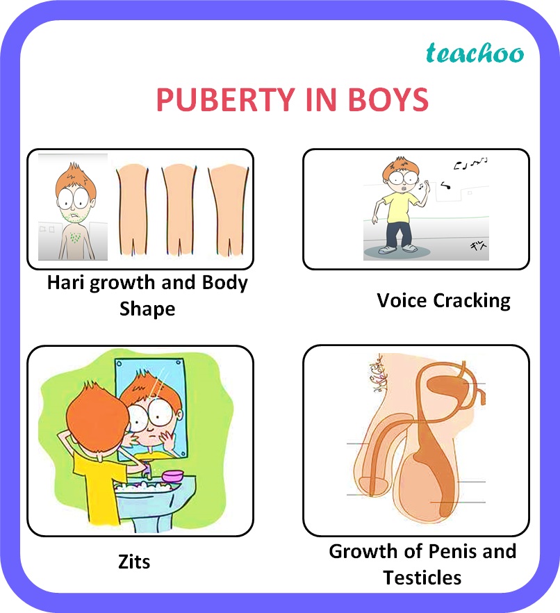 Class 10 What Do You Mean By Puberty How Do Organisms Reproduce