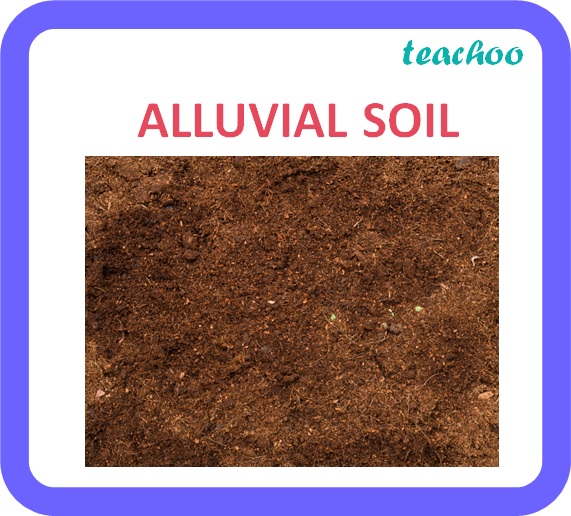 Geography Class 10 Classification Of Soils And Different Types Of Soil