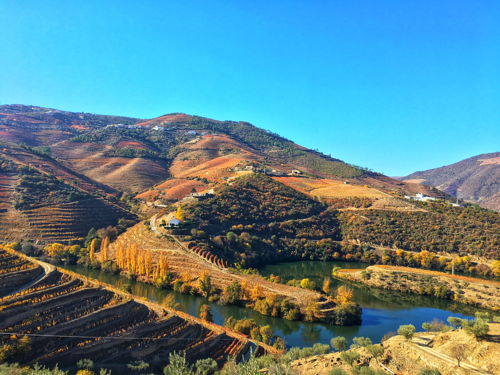 Douro Valley A Unesco World Heritage No Wonders Why Erasmus Blog