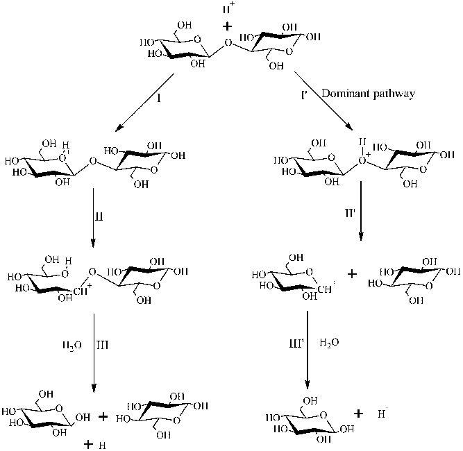 Cellobiose Hydrolysis