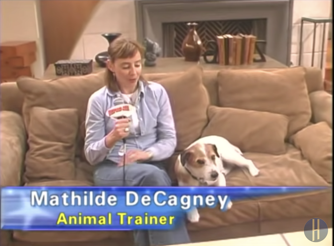 A Few Fun Facts About The Rescue Dog That Played Eddie On Frasier