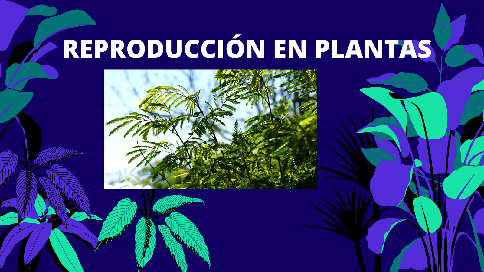Reproduccion En Plantas By Daniel José Flipsnack