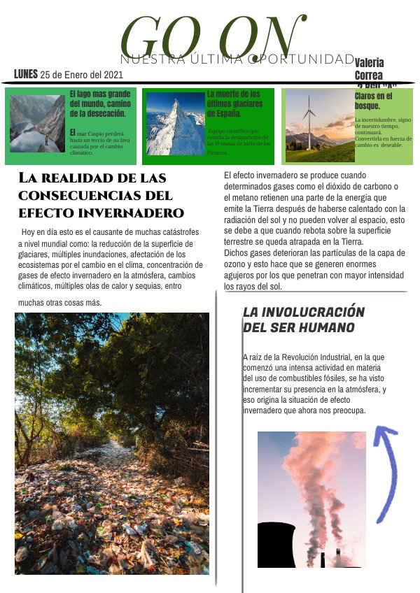 Periódico Ambiental By Flipsnack