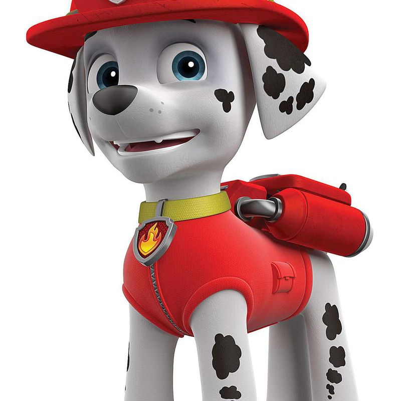 Rockypawpatrol Nft Collection Airnfts