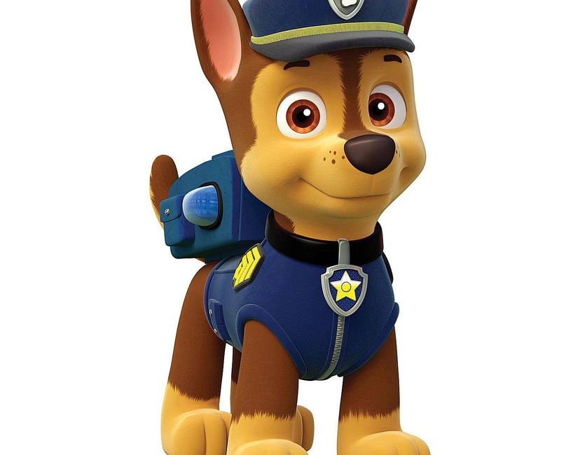 Chasepawpatrol Best Nft Market Nft Marketplace On Bsc Airnfts