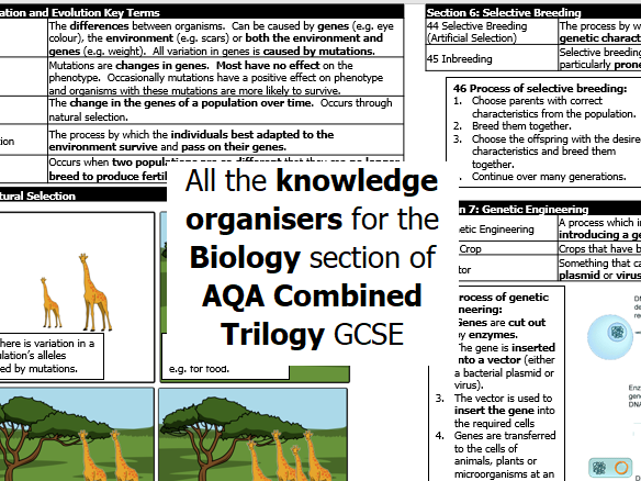 Aqa 9 1 New Gcse Biology Knowledge Organisers Teaching Resources