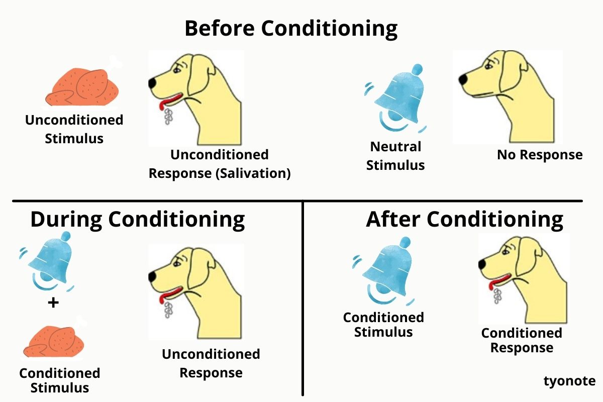 Aqa Classical Conditioning Teaching Resources