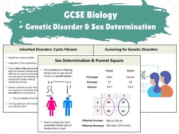 Gcse Biology Genetic Disorders And Sex Determination Teaching Resources