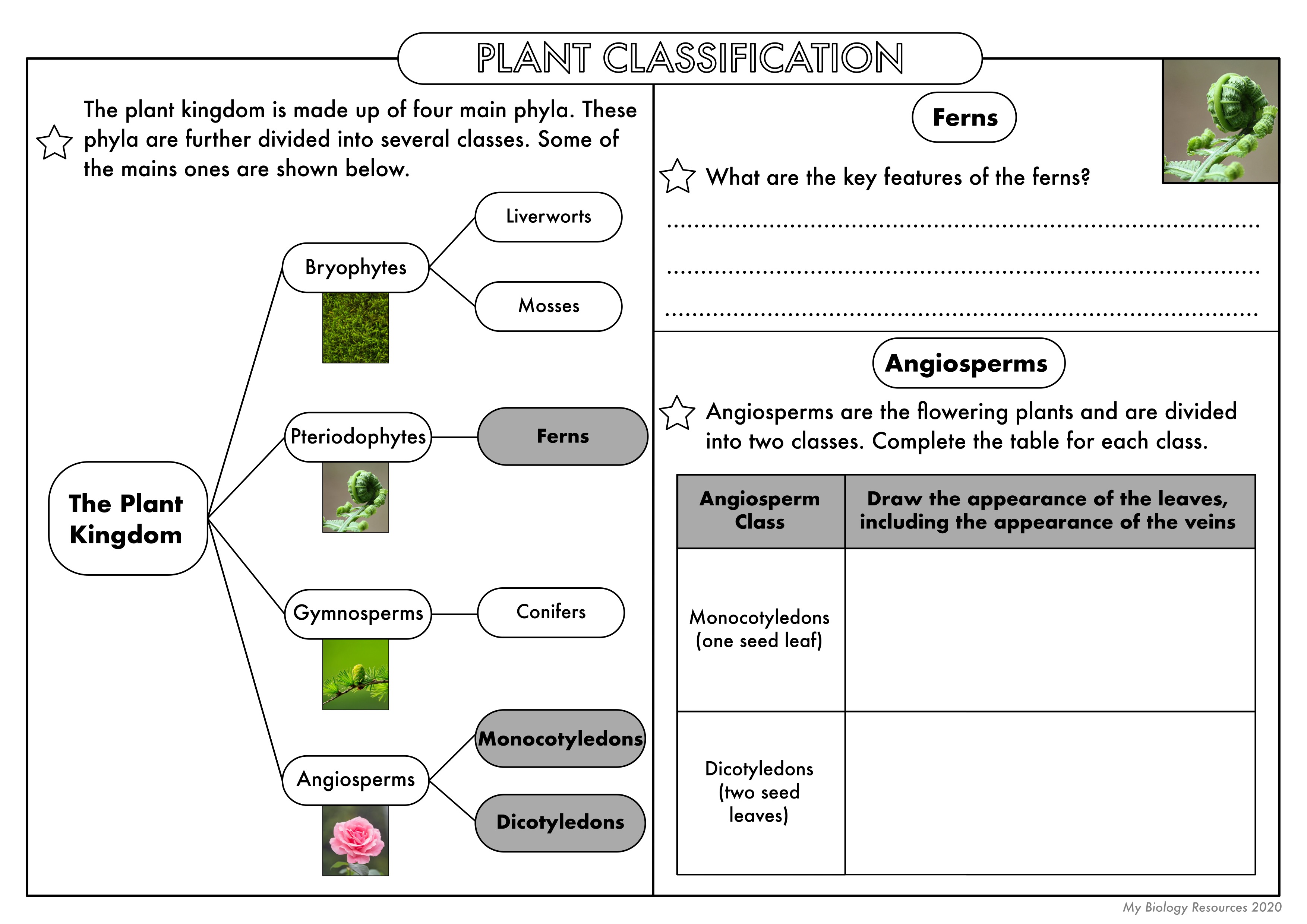 Gcse Biology Classification Worksheet Pack Teaching Resources Gcse