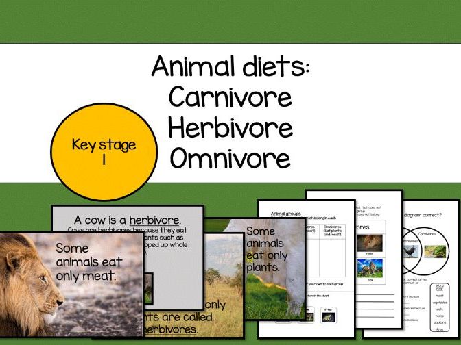 Animal Diets Carnivore Herbivore And Omnivore Ks1 Teaching Resources