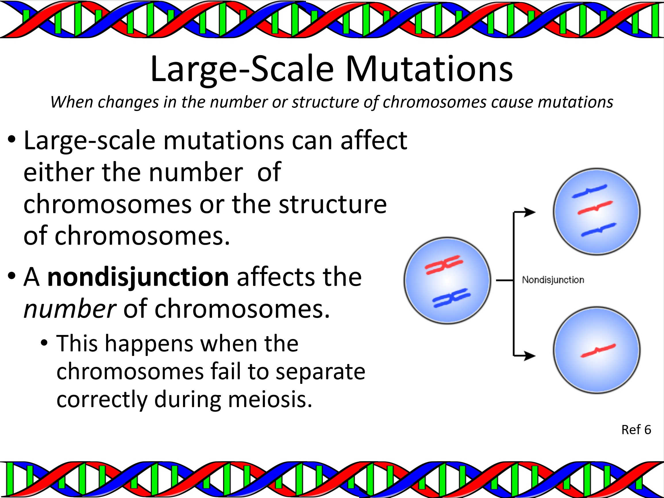 Genetics Mutations Powerpoint Slideshow Teaching Resources