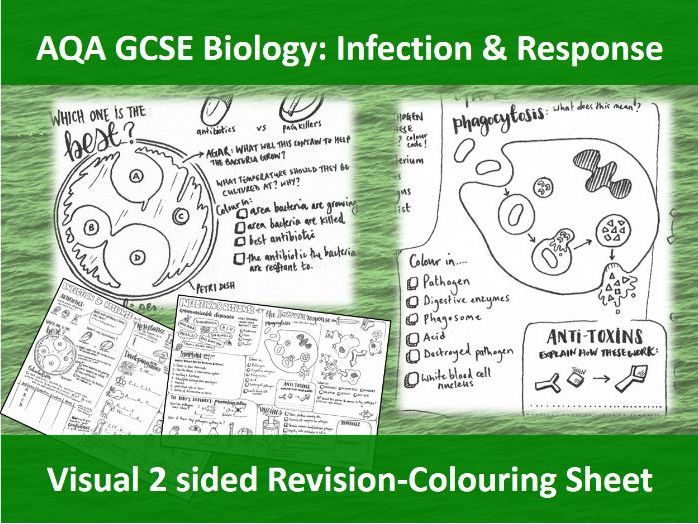 Infection And Response Revision New Aqa Gcse Trilogy Biology 2