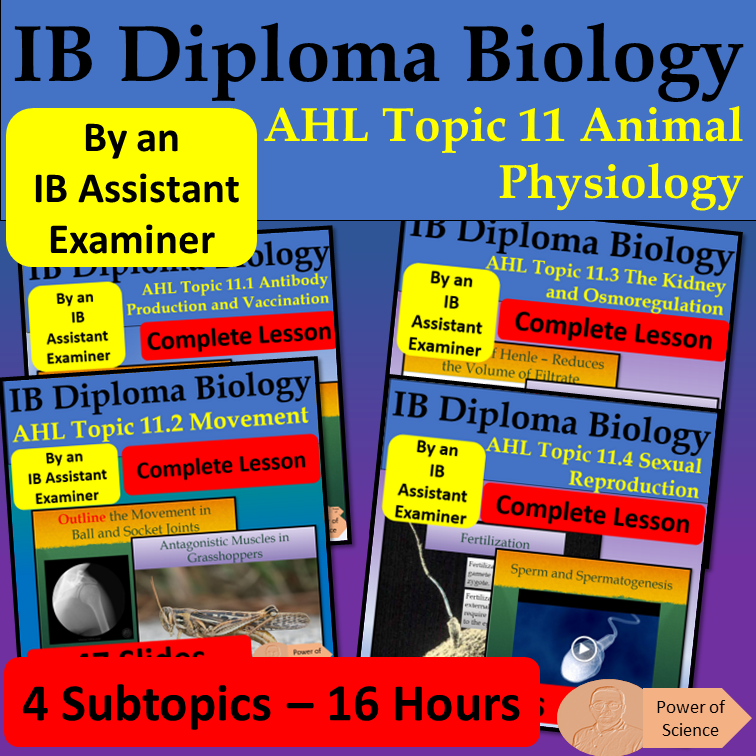 Ib Biology Ahl Topic 11 Animal Physiology Bundle Teaching Resources