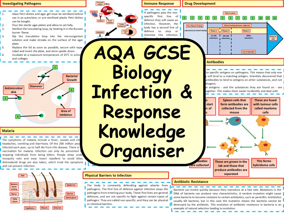 Ks4 Aqa Gcse Biology Science Infection And Response Revision Knowledge