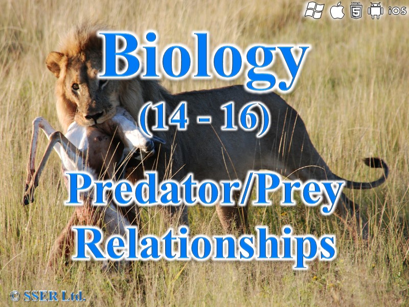 Bio73 Predator Prey Relationships Teaching Resources