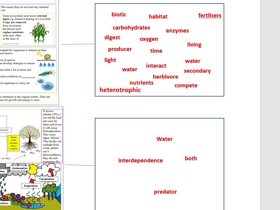 Gcse Ocr Biology B4 Ecosystems Revision Poster Teaching Resources