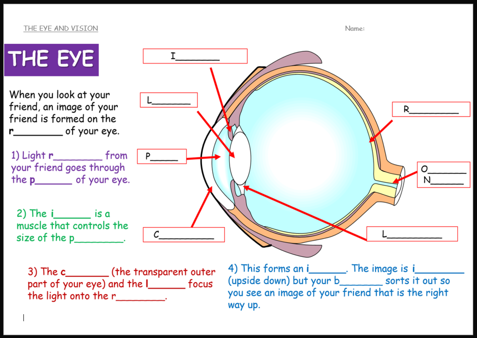 The Eye And Vision Ks3 Activate Science Teaching Resources