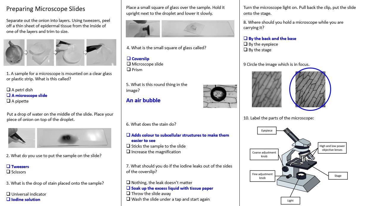 Microscopy Lesson Gcse Biology Teaching Resources