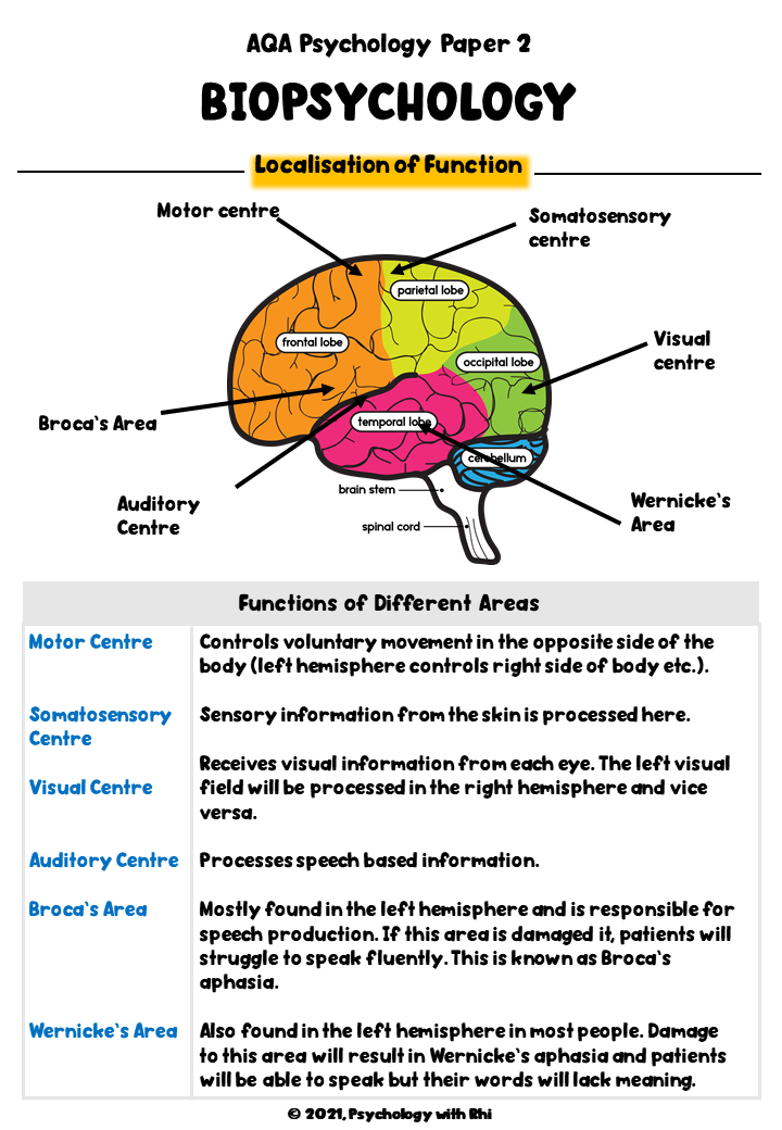 Aqa Biopsychology Full Revision Notes A Level Psychology Teaching