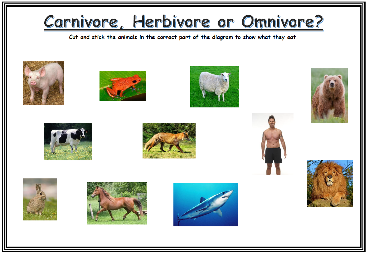 Carnivores Herbivores And Omnivores Sorting Activity