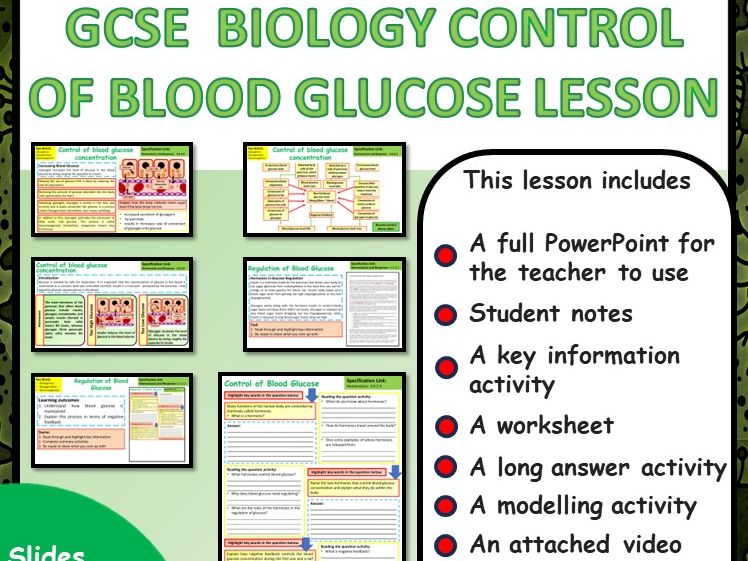 Aqa Gcse Biology Controlling Blood Glucose Lesson And Activities