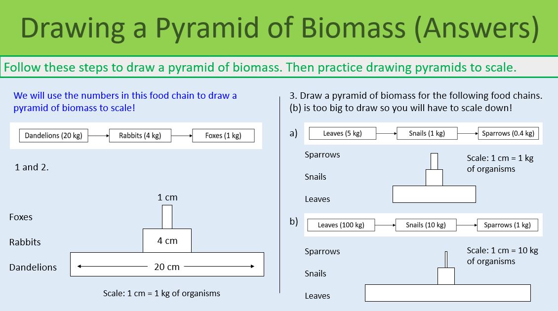 Biomass Lesson Gcse Biology Teaching Resources