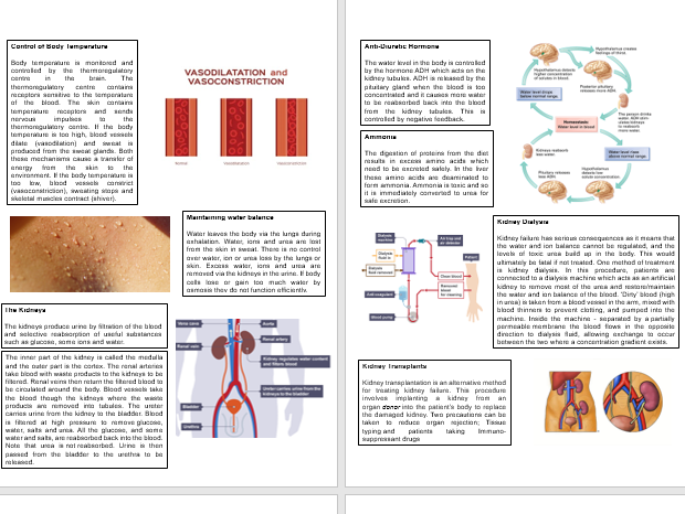 Aqa Biology Paper 2 All Topics Revision Booklet Bundle Teaching