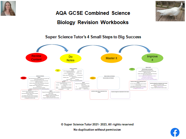 Aqa Gcse Biology Topic 1 Part 1 Cell Structure And Cell Division