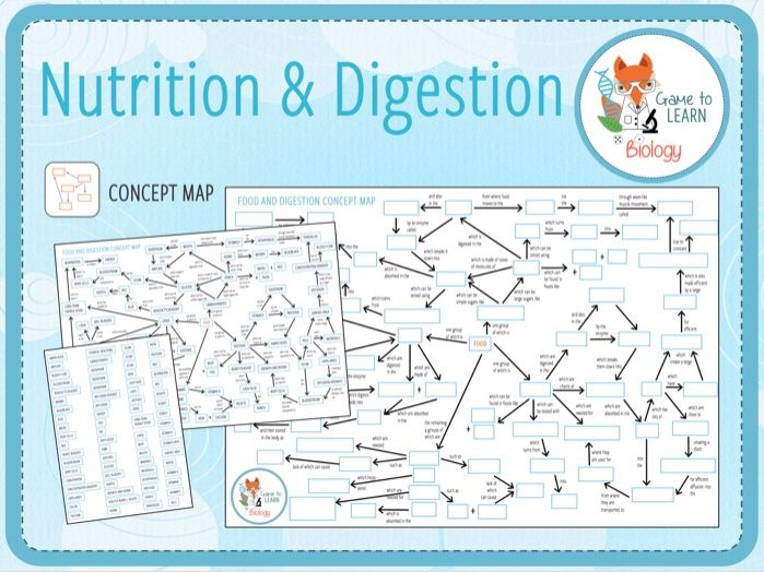 Nutrition And Digestion Concept Map Ks34 Teaching Resources