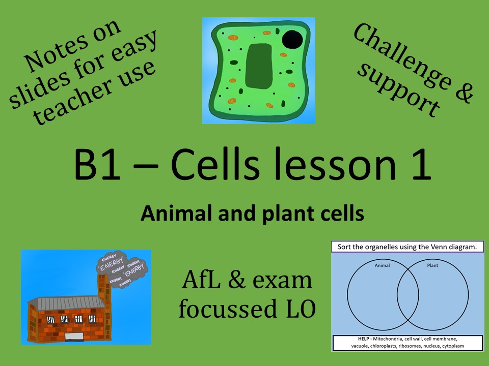 Aqa Biology B1 Cells Lesson 1 Animal And Plant Cells Teaching Resources