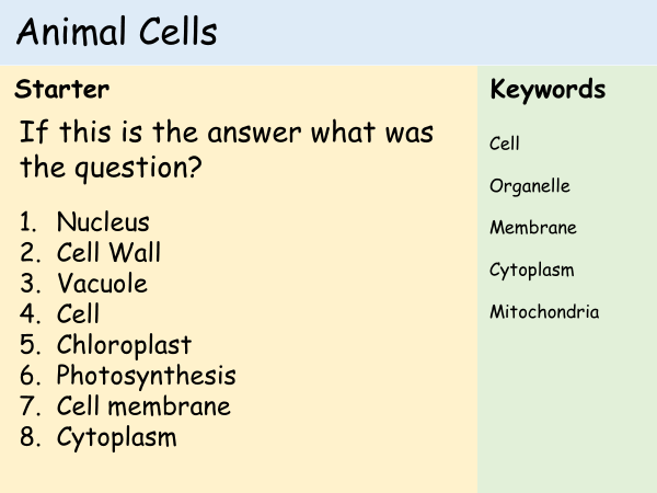 Ks3 Cells Lesson 3 Animal Cells Teaching Resources