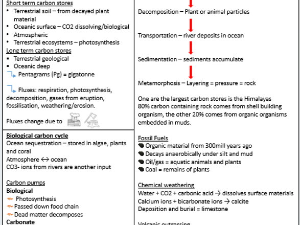 Edexcel A Level Geography Carbon Condensed Notes Teaching Resources