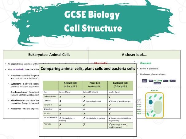 Gcse Biology Cell Structure Teaching Resources