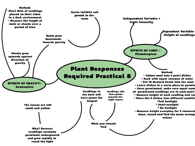 Aqa Gcse Biology Required Practical 8 Pack Teaching Resources