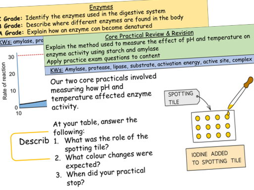 27 To 214b Biological Molecules Food Tests Enzymes And Core Prac