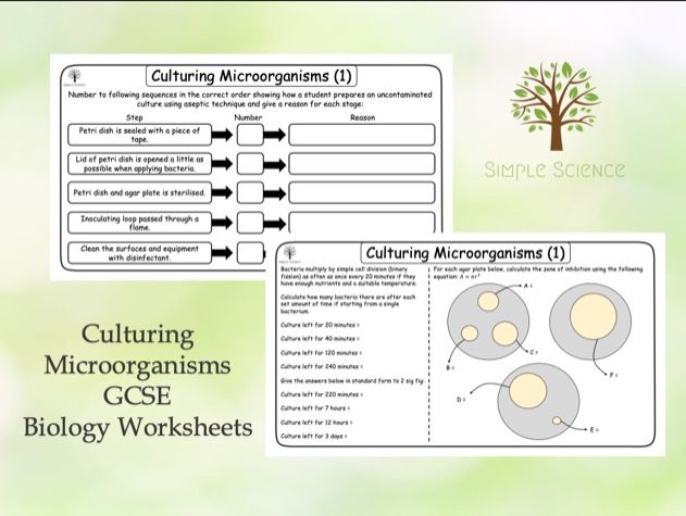 Gcse Biology Culturing Microorganisms Triple Worksheets Teaching