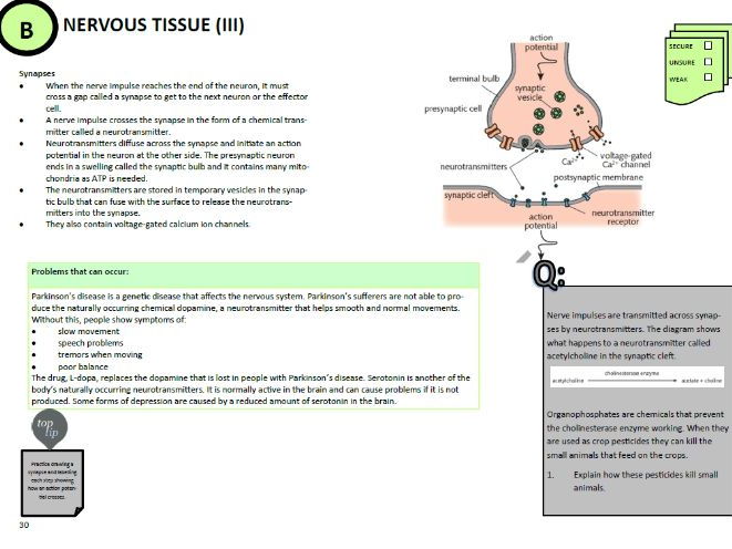 Btec Applied Science Level 3 2016 Unit 1 Revision Guide Teaching