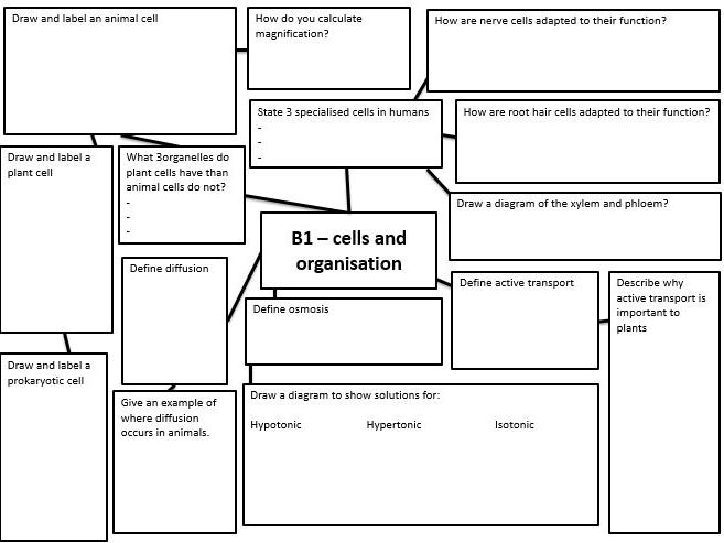 Aqa Biologytrilogy Paper 1 Complete Revision Mats With Answers New