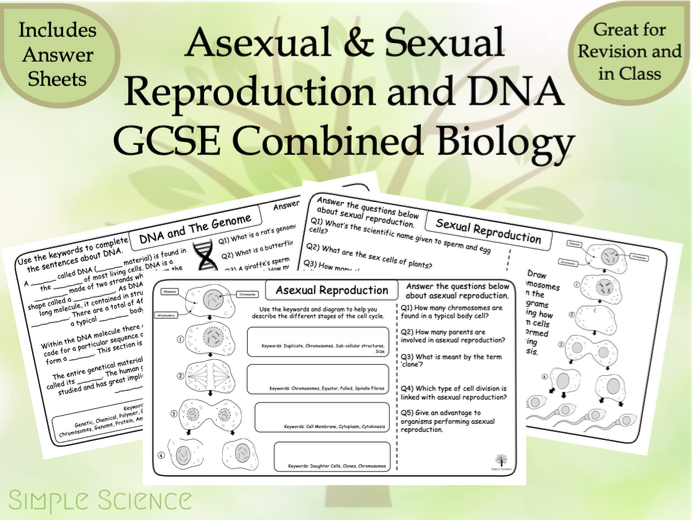 Asexual And Sexual Reproduction And Dna Gcse Biology Worksheets