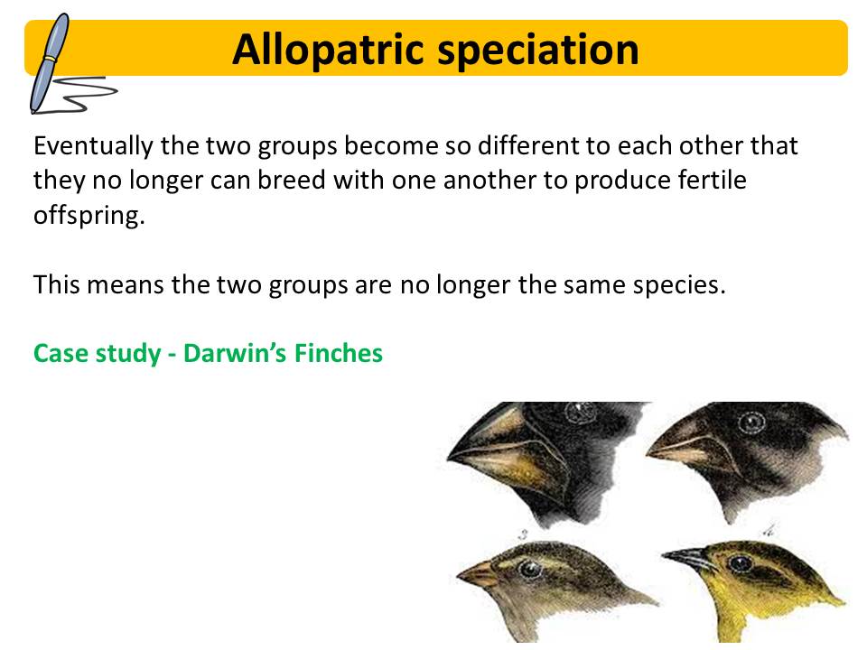 Aqa A Level Biology 372 And 373 Populations And Evolution 4