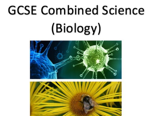 Gcse 9 1 Aqa Required Practicals Handbook For Combined Science Biology