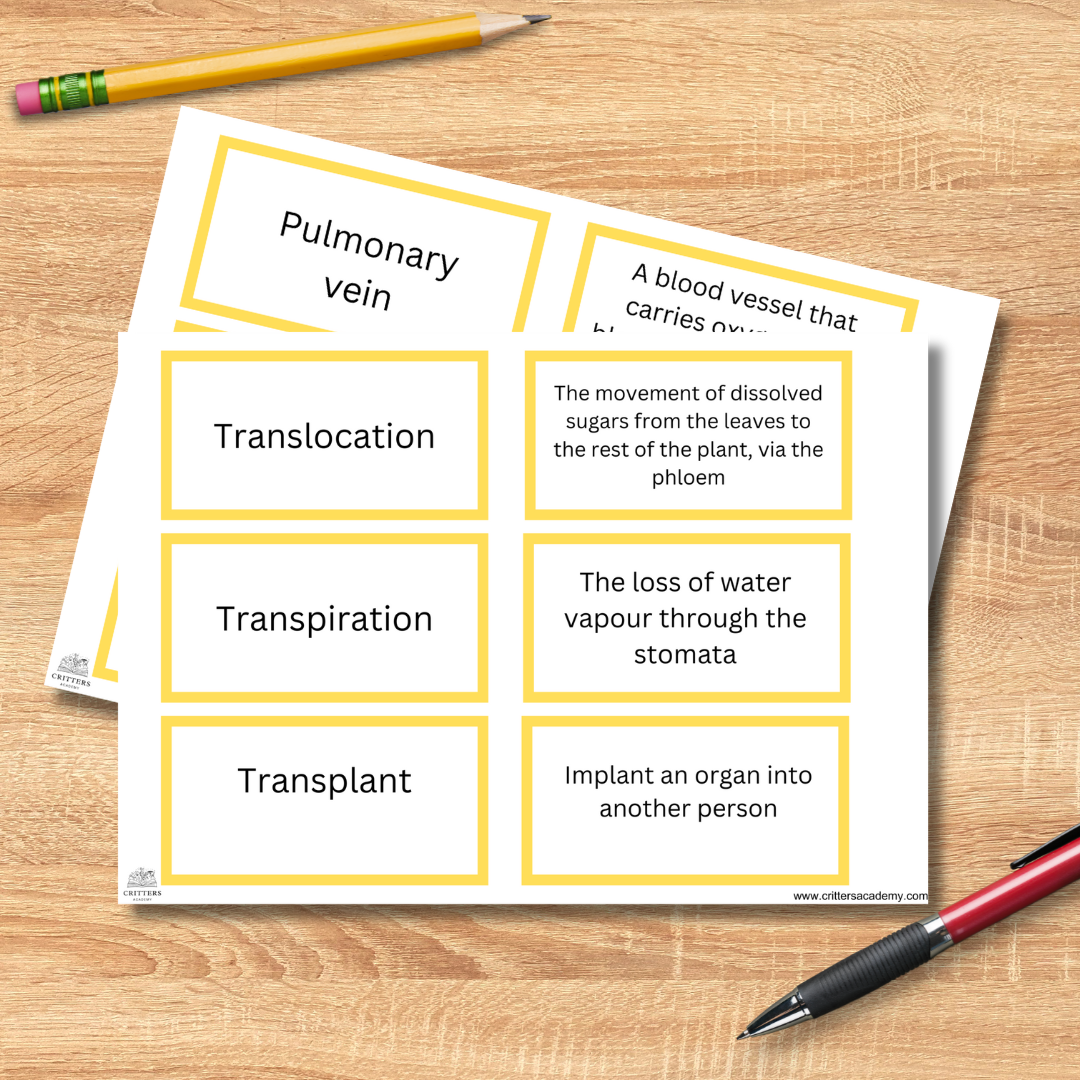 Gcse Biology Organisation Key Word Flash Cards Teaching Resources