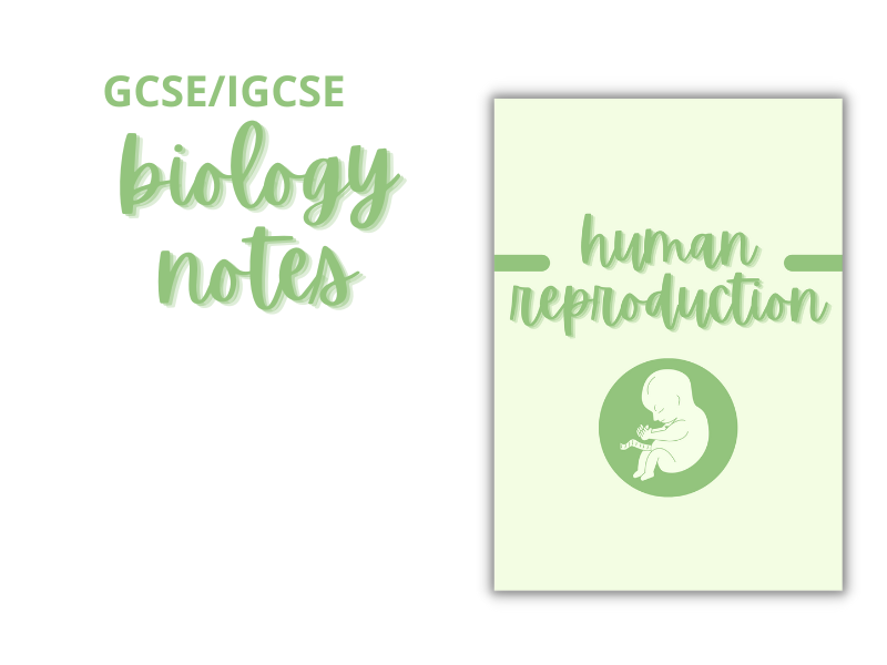 Gcseigcse Biology Notes Human Reproduction Teaching Resources