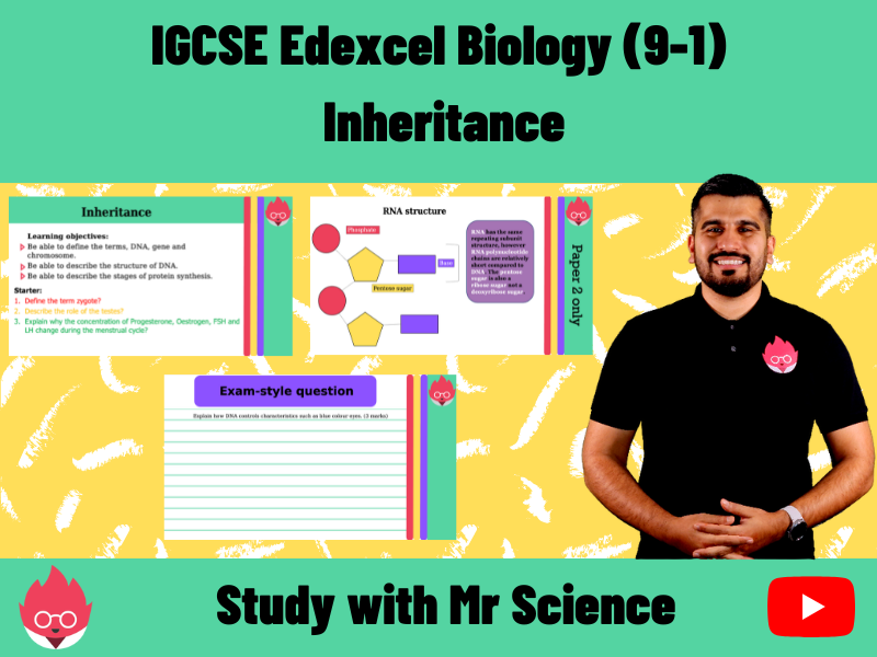 Igcse Edexcel Biology 9 1 Inheritance Updated Teaching Resources