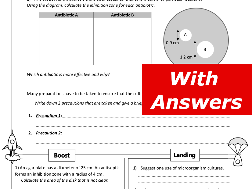 Culturing Microorganisms Home Learning Worksheet Gcse Teaching Resources